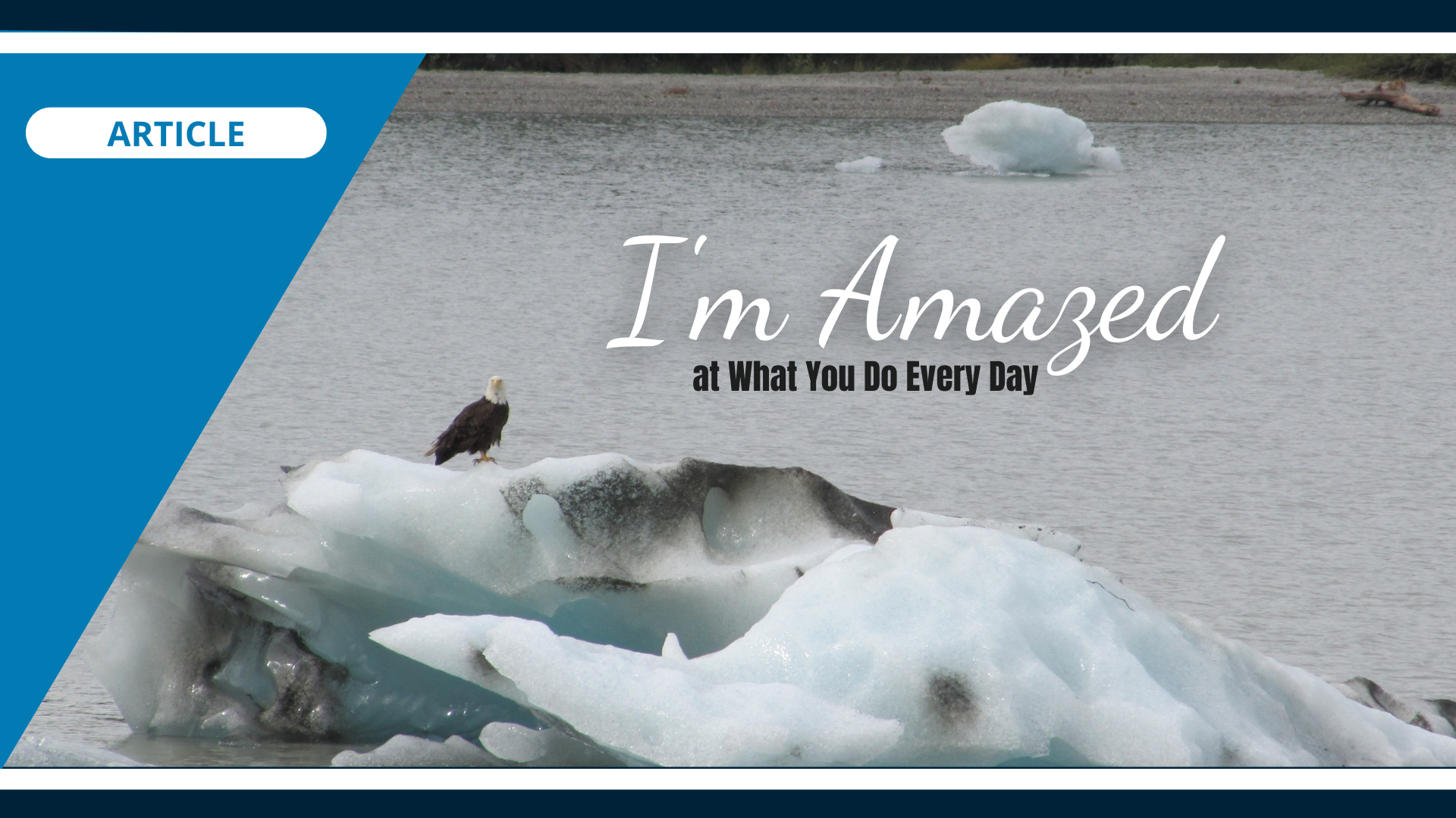 I'm Amazed at What You Do Everyday | Be Happy Homeschooling